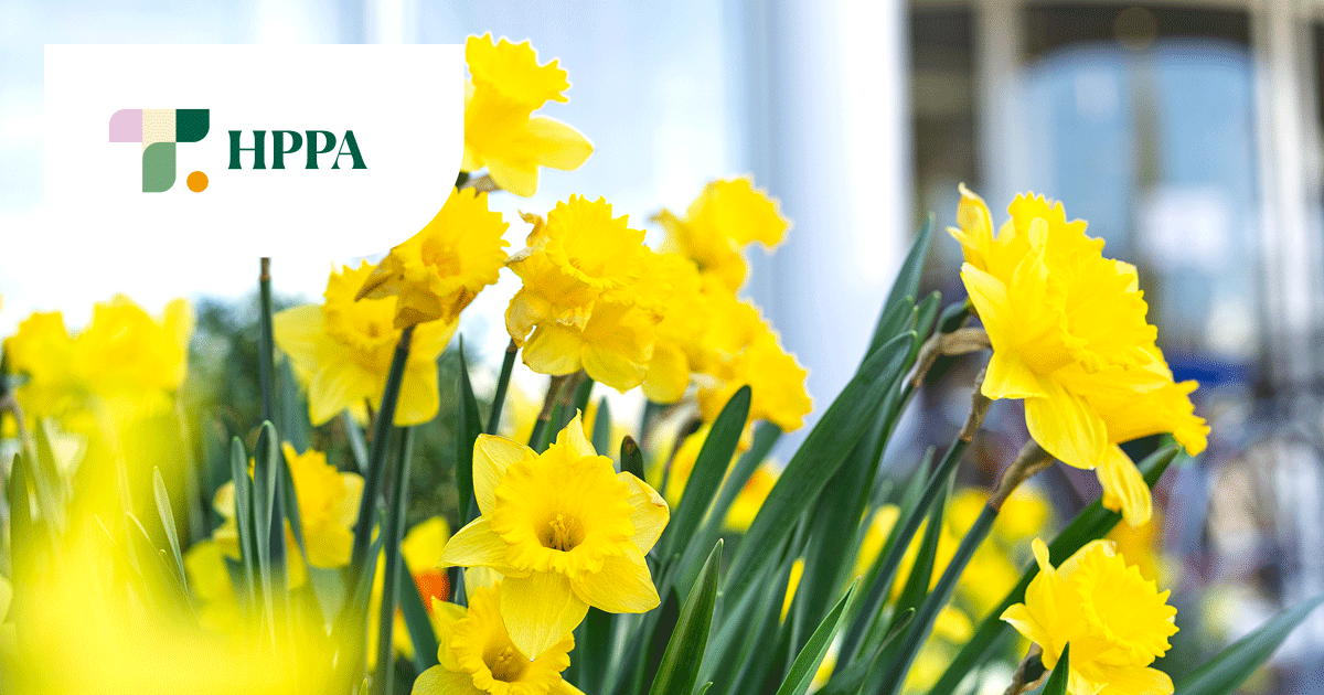 Leben bei HPPA | Perfekte Balance aus Ruhe und Gemeinschaft